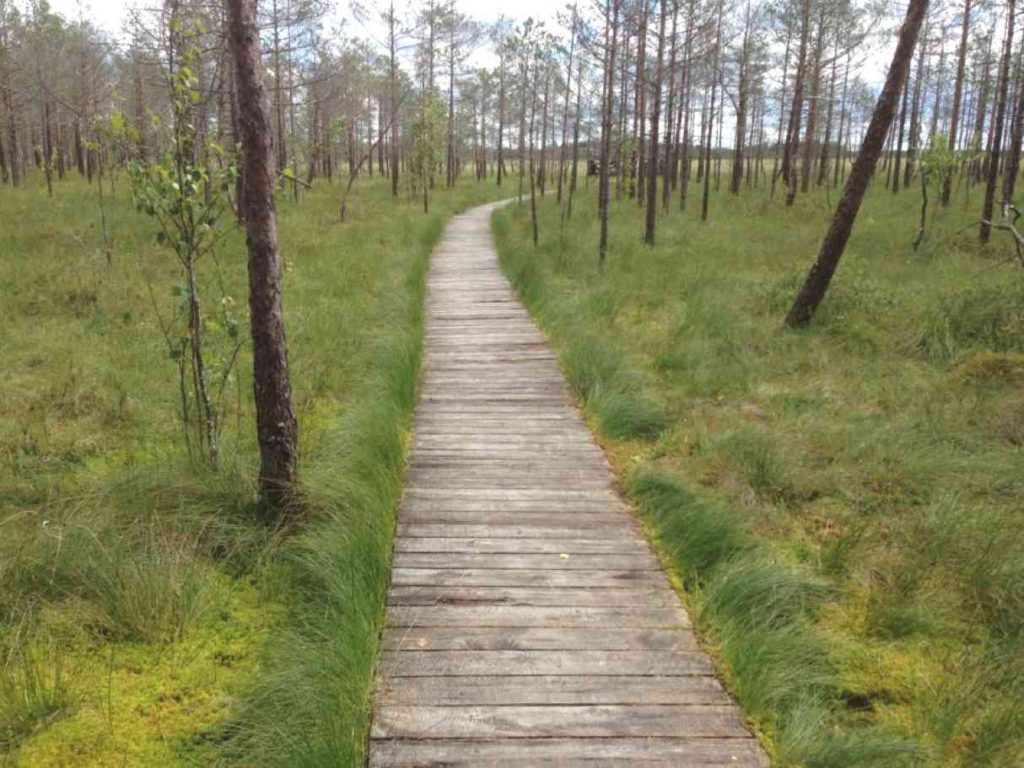 Three ways to keep your meditation practice going