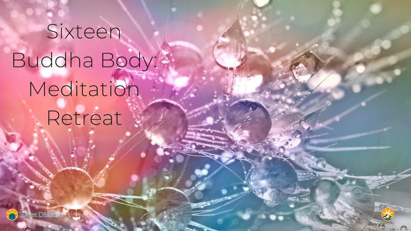 16 Buddha Body Practice (In-Person Meditation Retreat)