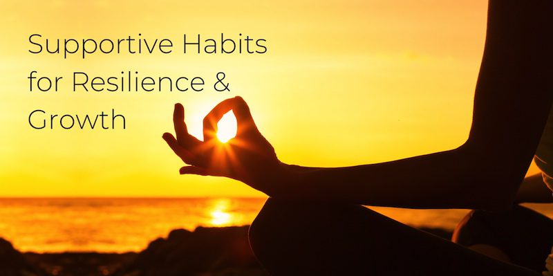 Supportive Habits for Resilience & Growth (Free Webinar)